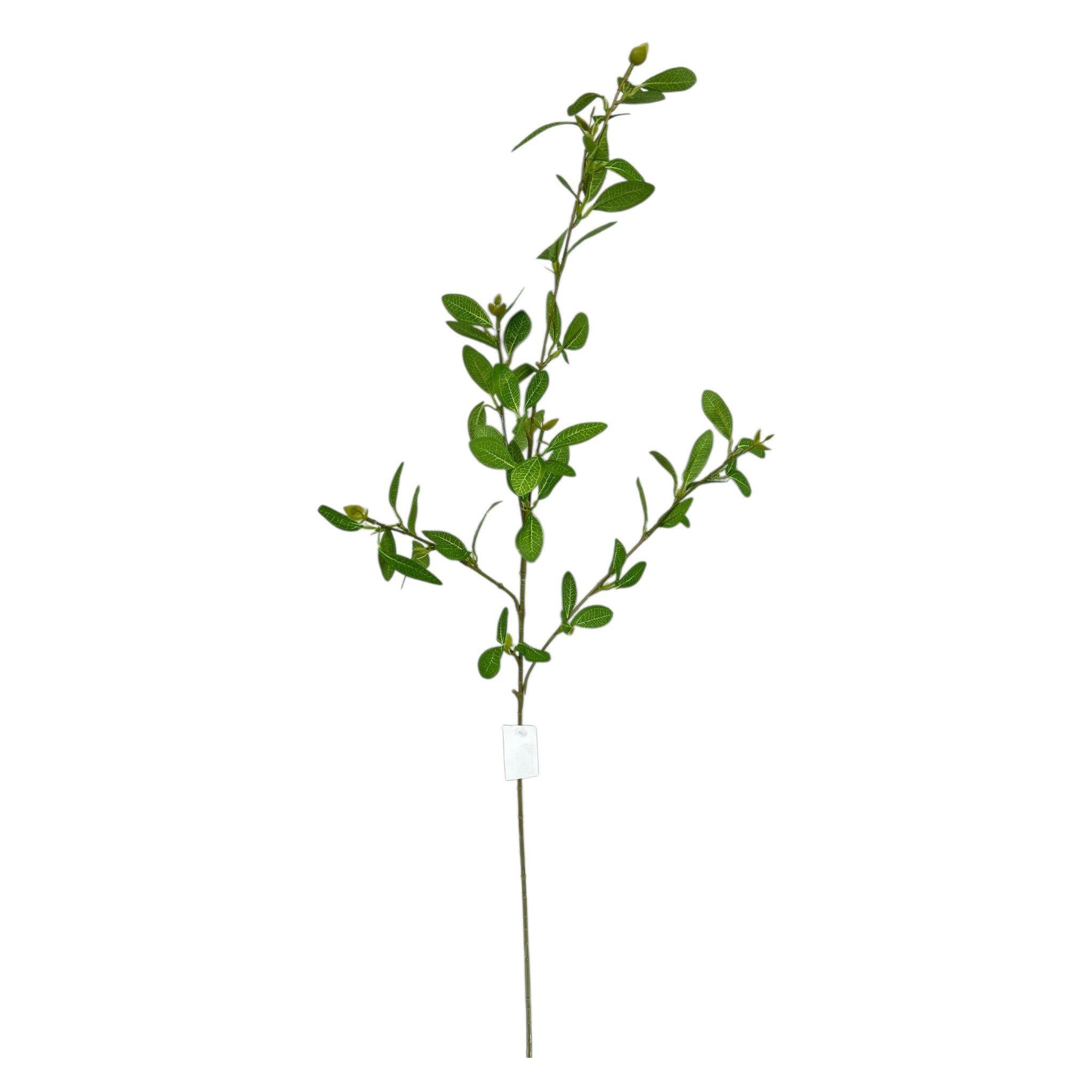 Leaf Spray – Western Global Importers