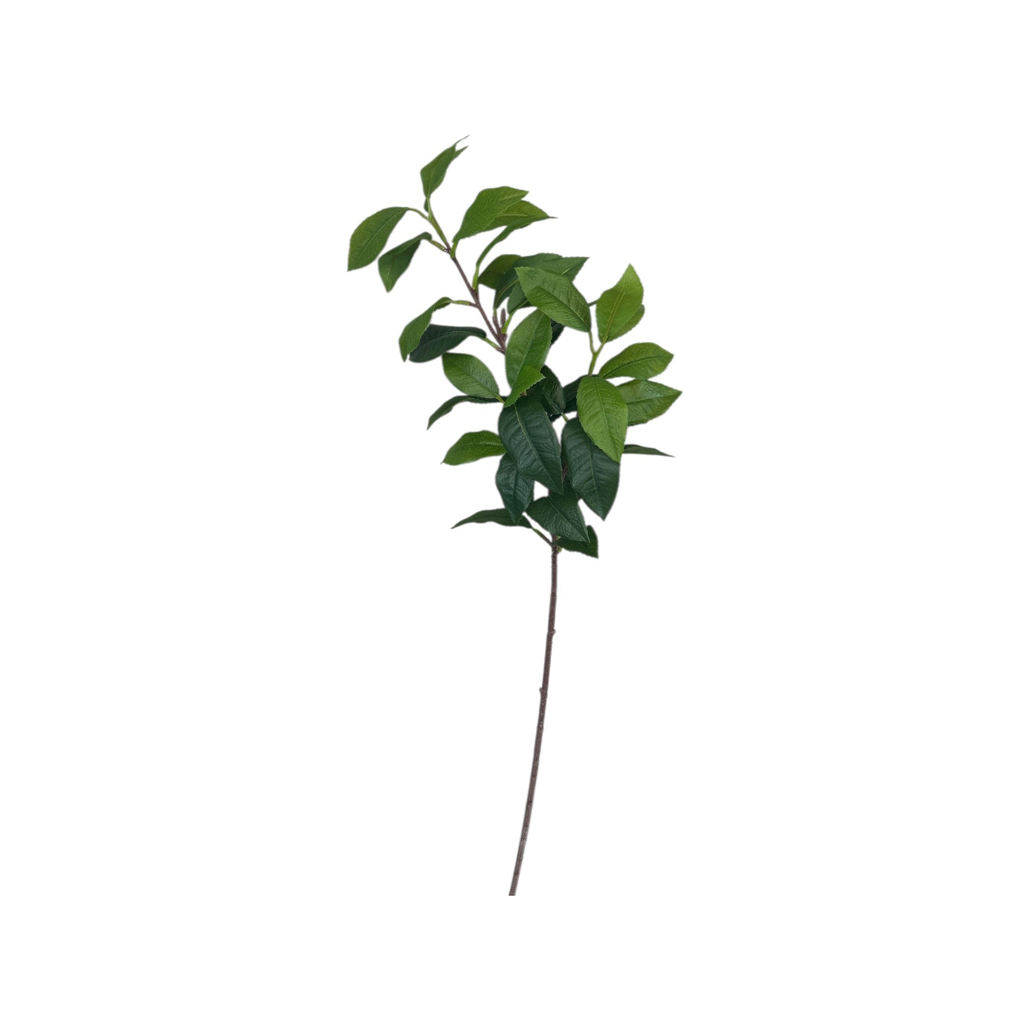 Leaf Spray – Western Global Importers